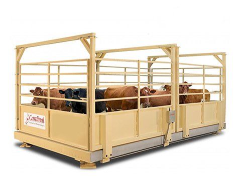 Travis Scale, Co. | Products & Service | Weights, Measurements, Scales