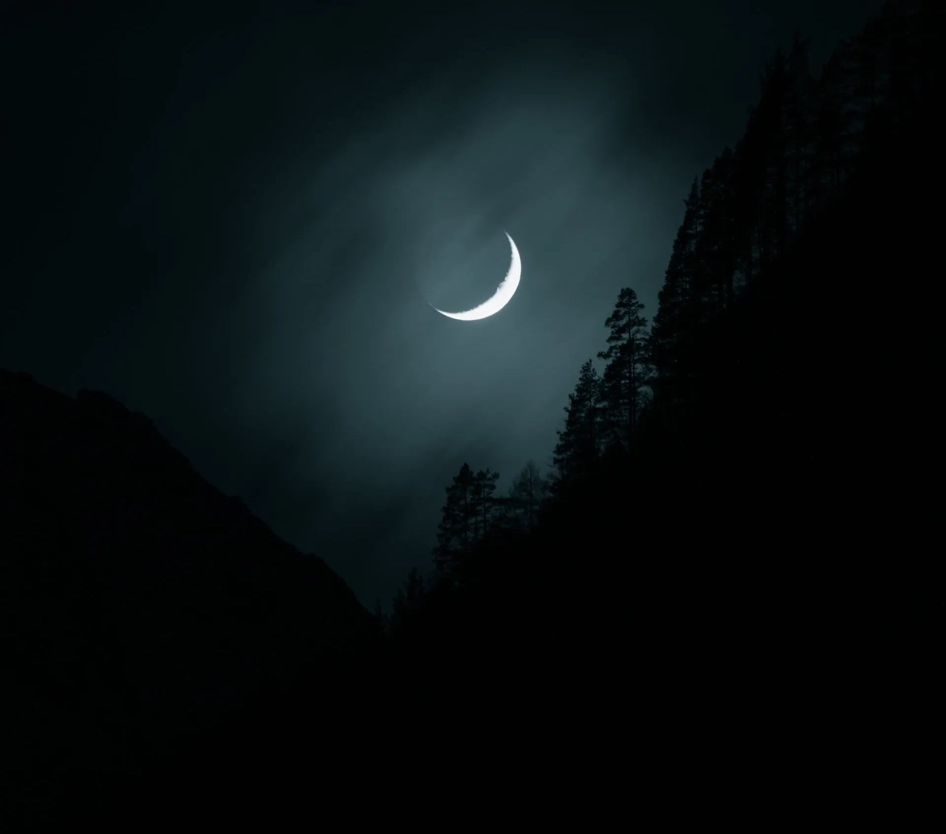 Beer and Food Menu at Sound to Summit in Snohomish