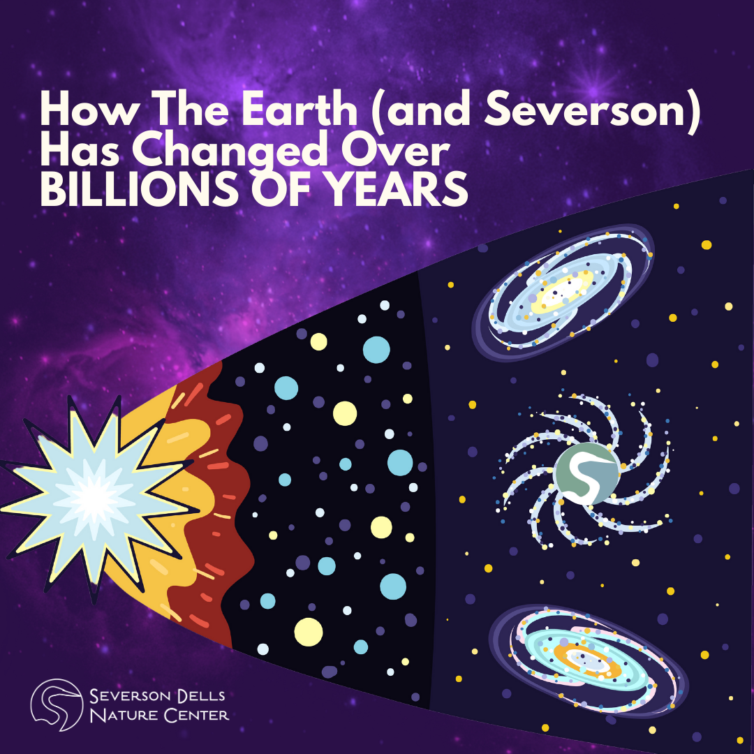 Severson Through Billions of Years