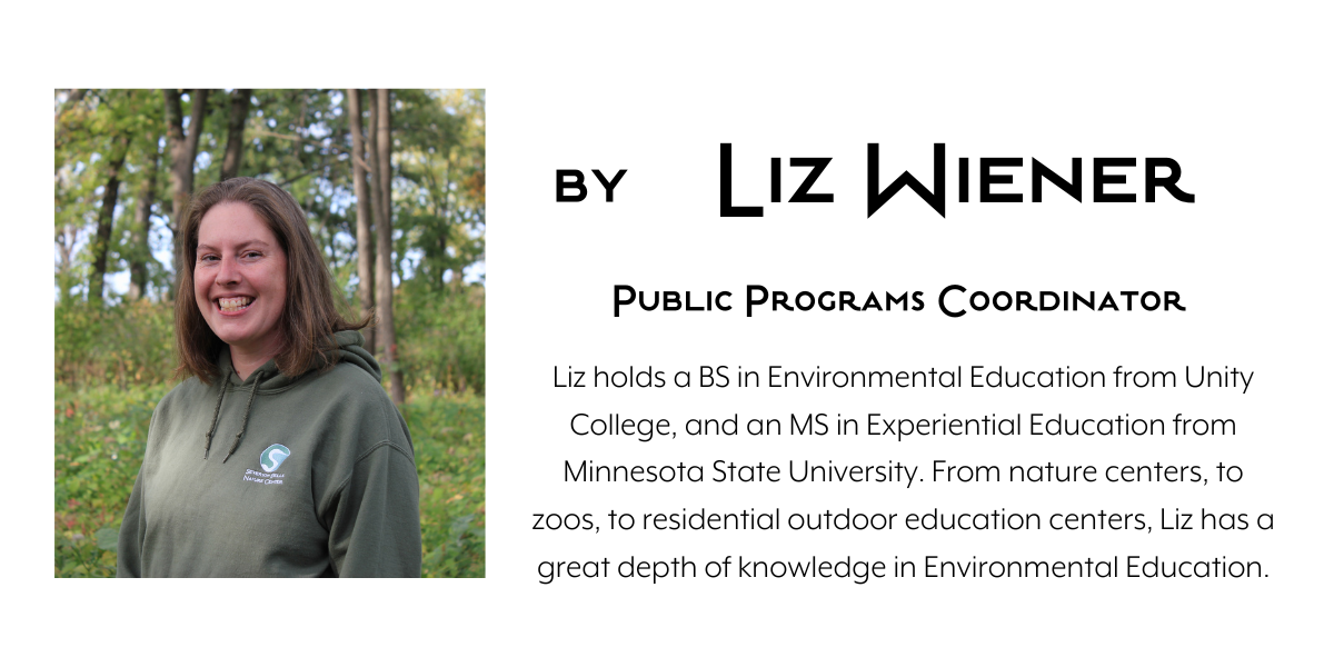 Wild about Wildflowers