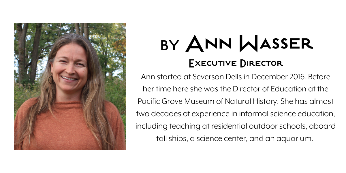 Welcoming the New Year at Severson Dells Nature Center