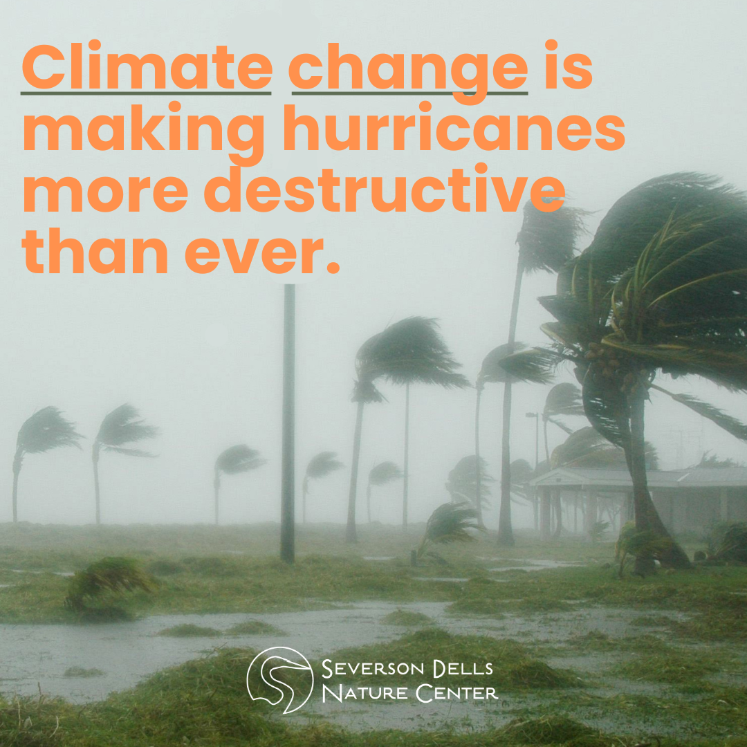 How Climate Change is Making Hurricanes More Destructive