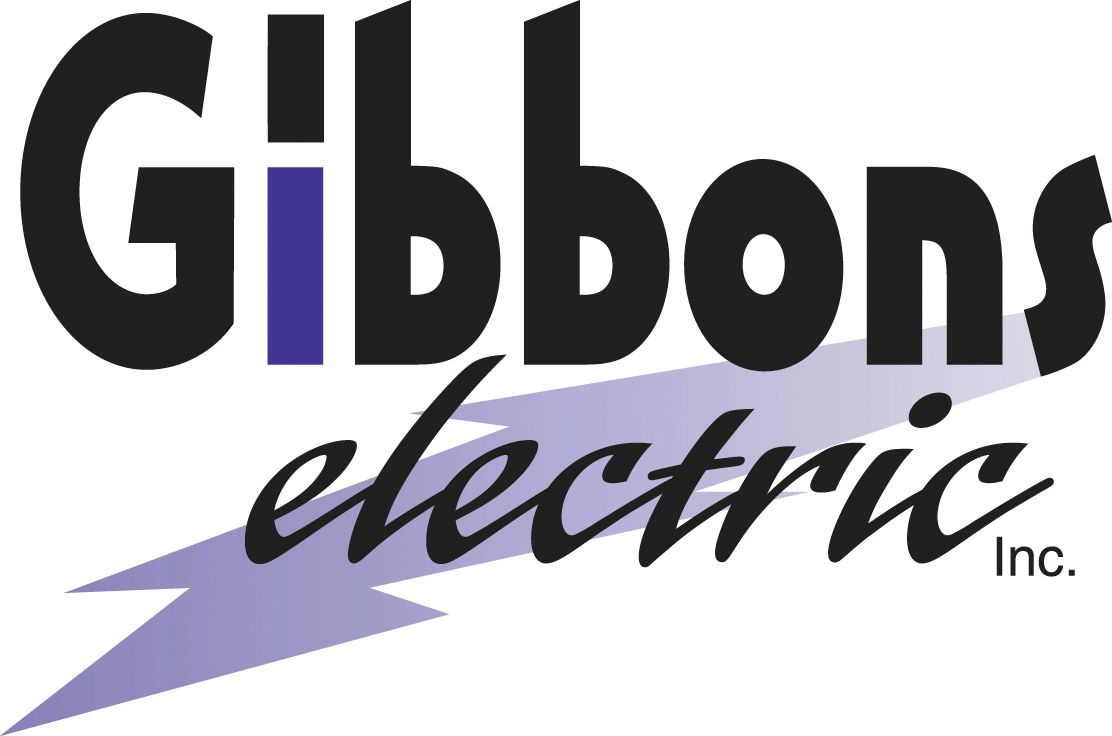 The Mystery of Transient Luminous Events