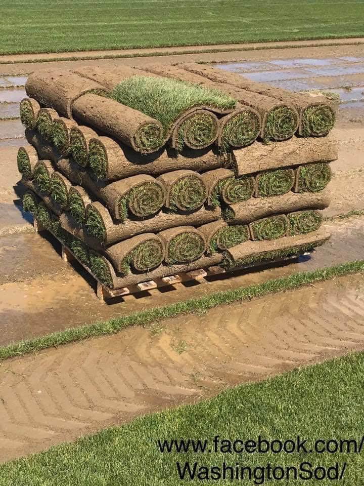 Install Sod Tips - Washington State - Washington Sod and Turf