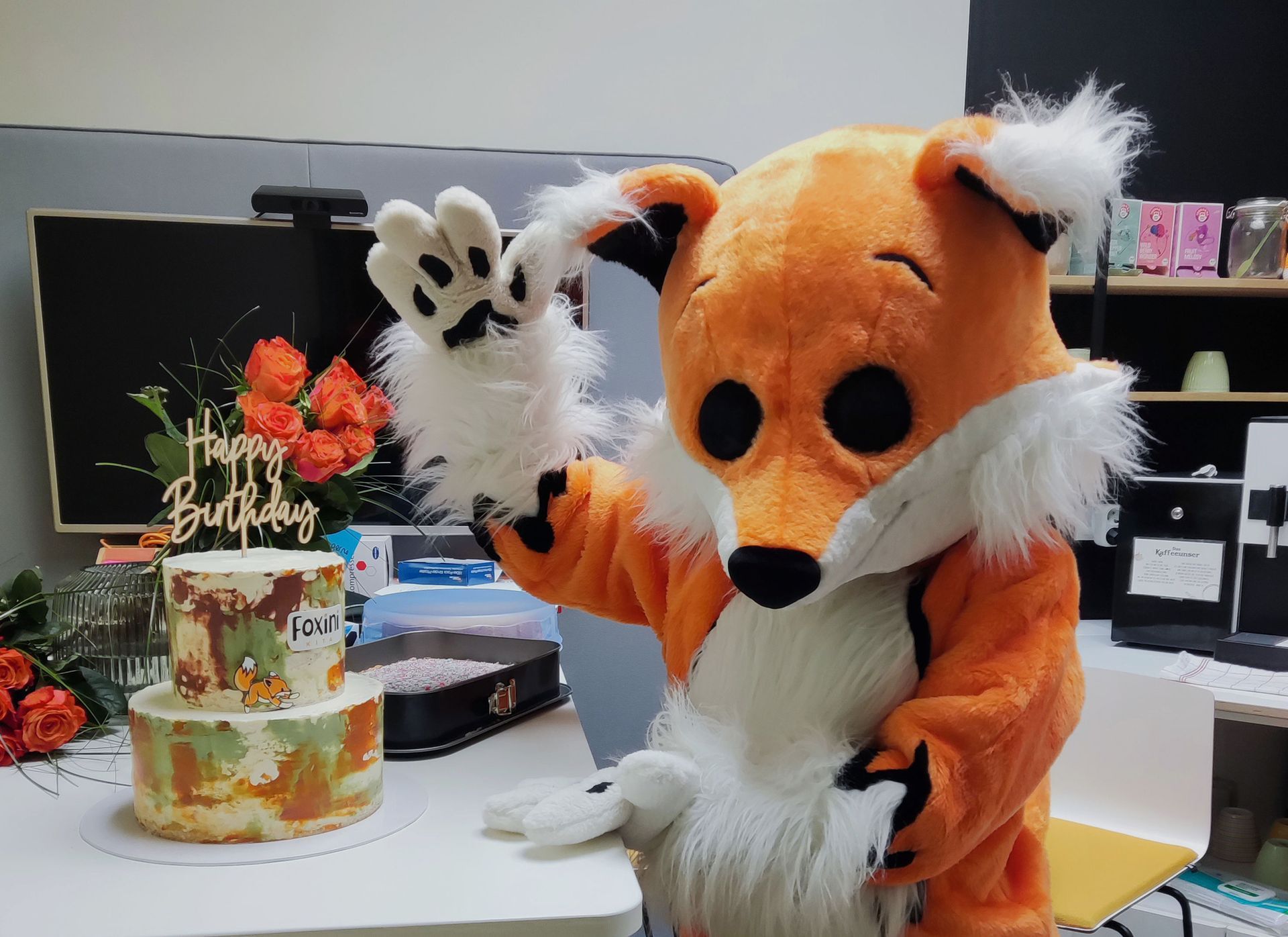 Foxini's zweiter Geburtstag🥳