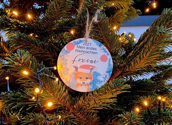 Foxini Insight: Foxini's erste Weihnachten