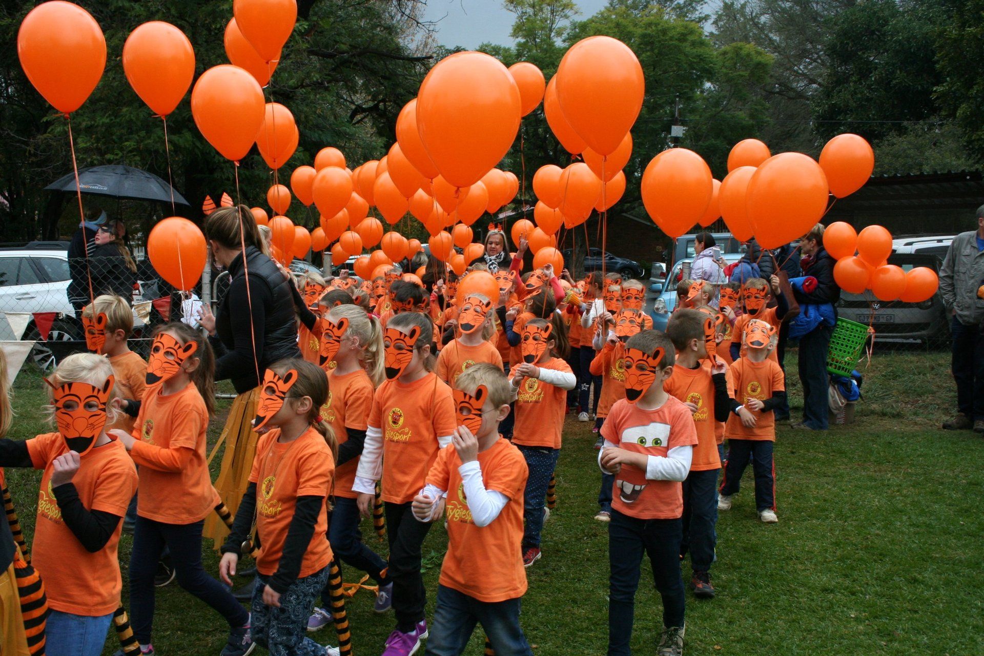 Tygieland Kleuterskool | Laerskool Tygerpoort