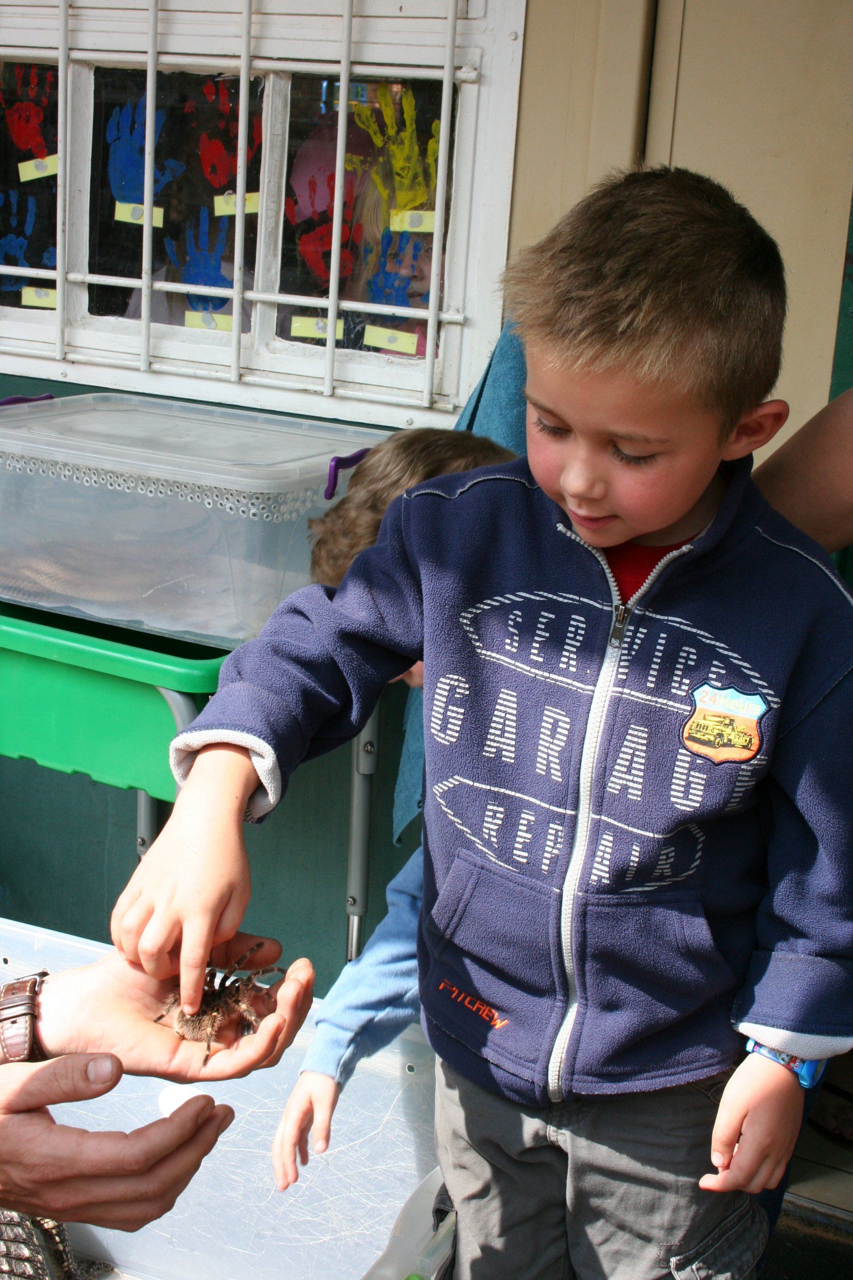 Tygieland Kleuterskool | Laerskool Tygerpoort