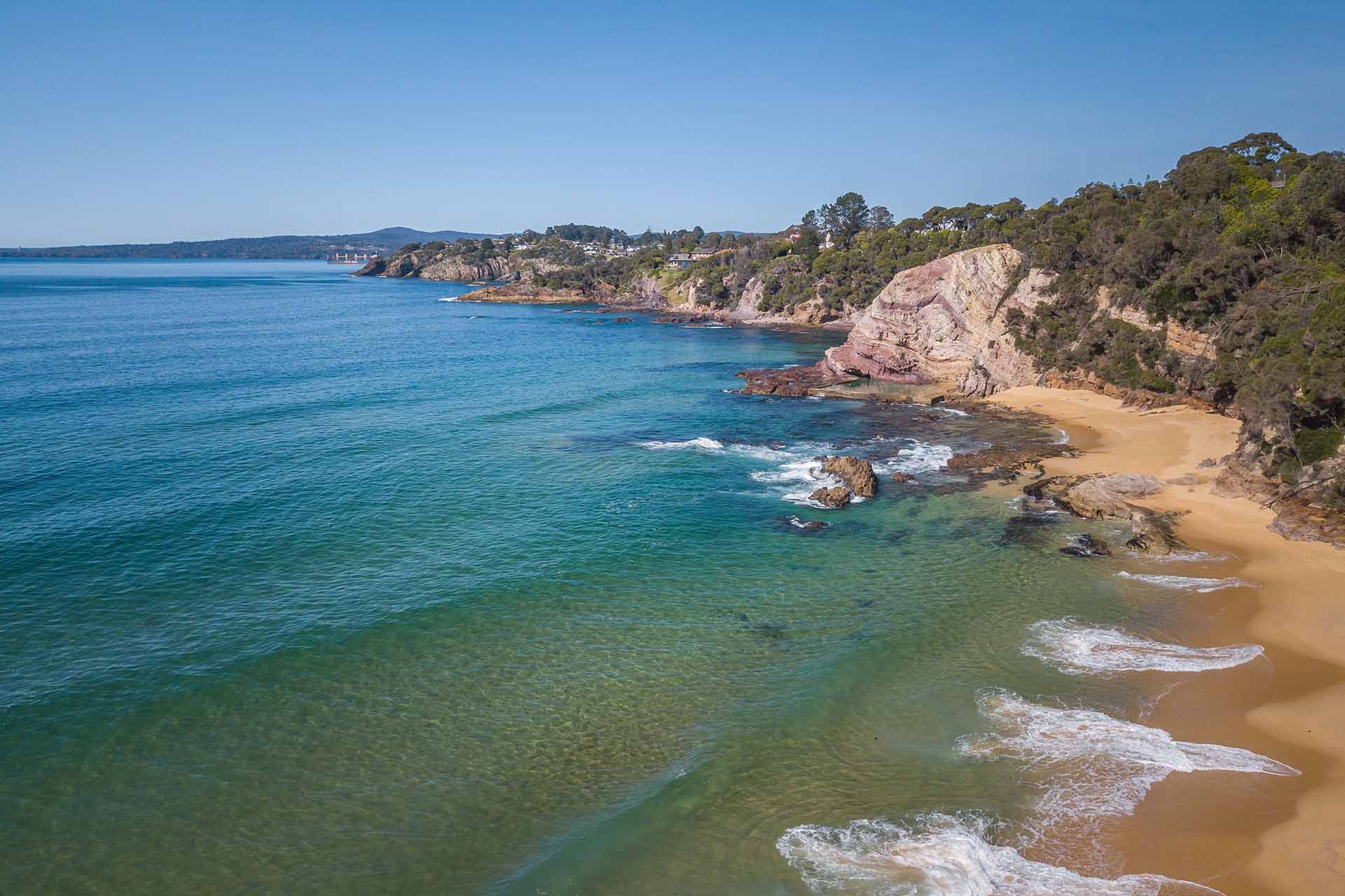 Dog friendly holidays on the Sapphire Coast, NSW