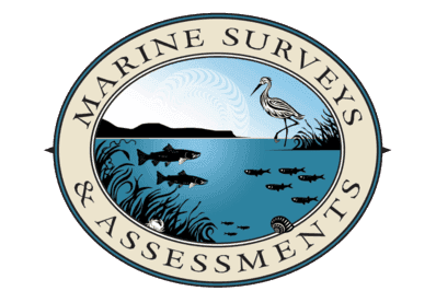 Marine Surveys & Assessments