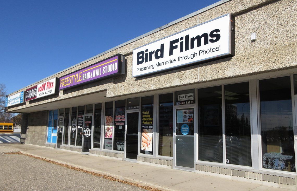 Welcome to Bird Films | Regina, Sk