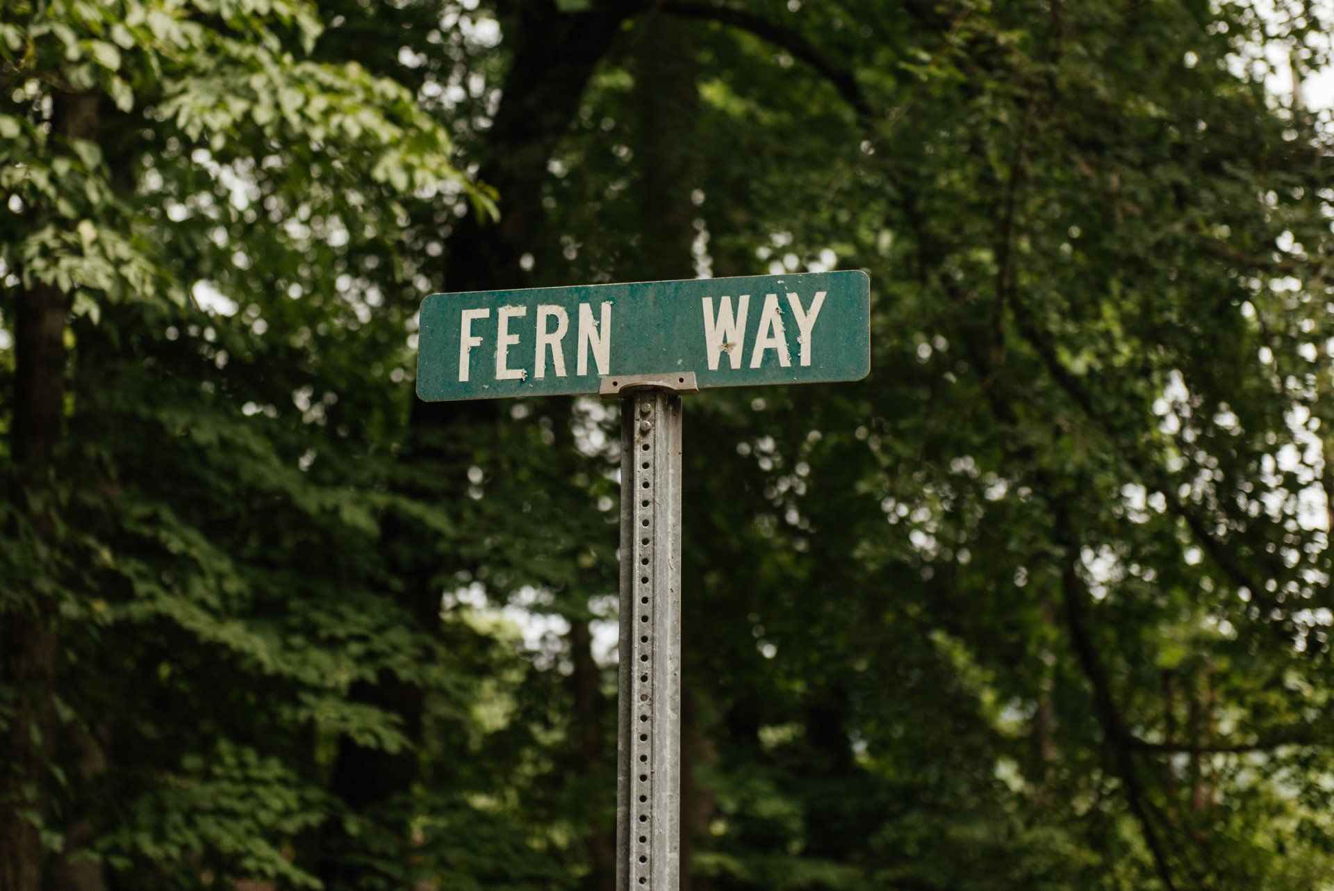 Home [www.christmount.org]