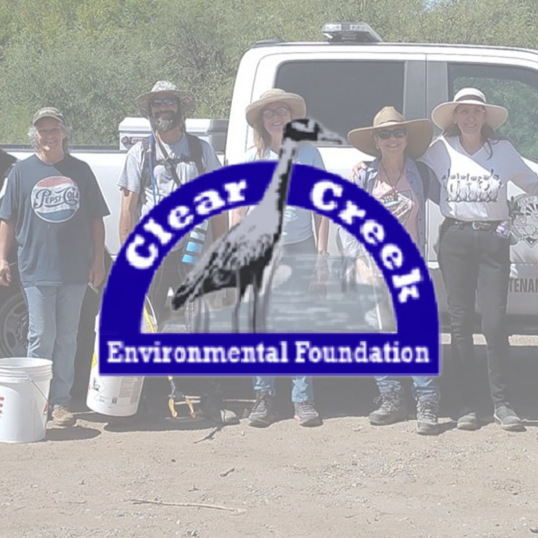 Clear Creek Cleanup Crew