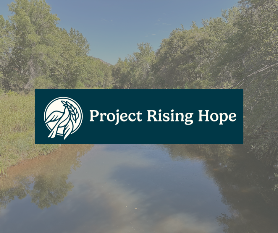Project Rising Hope