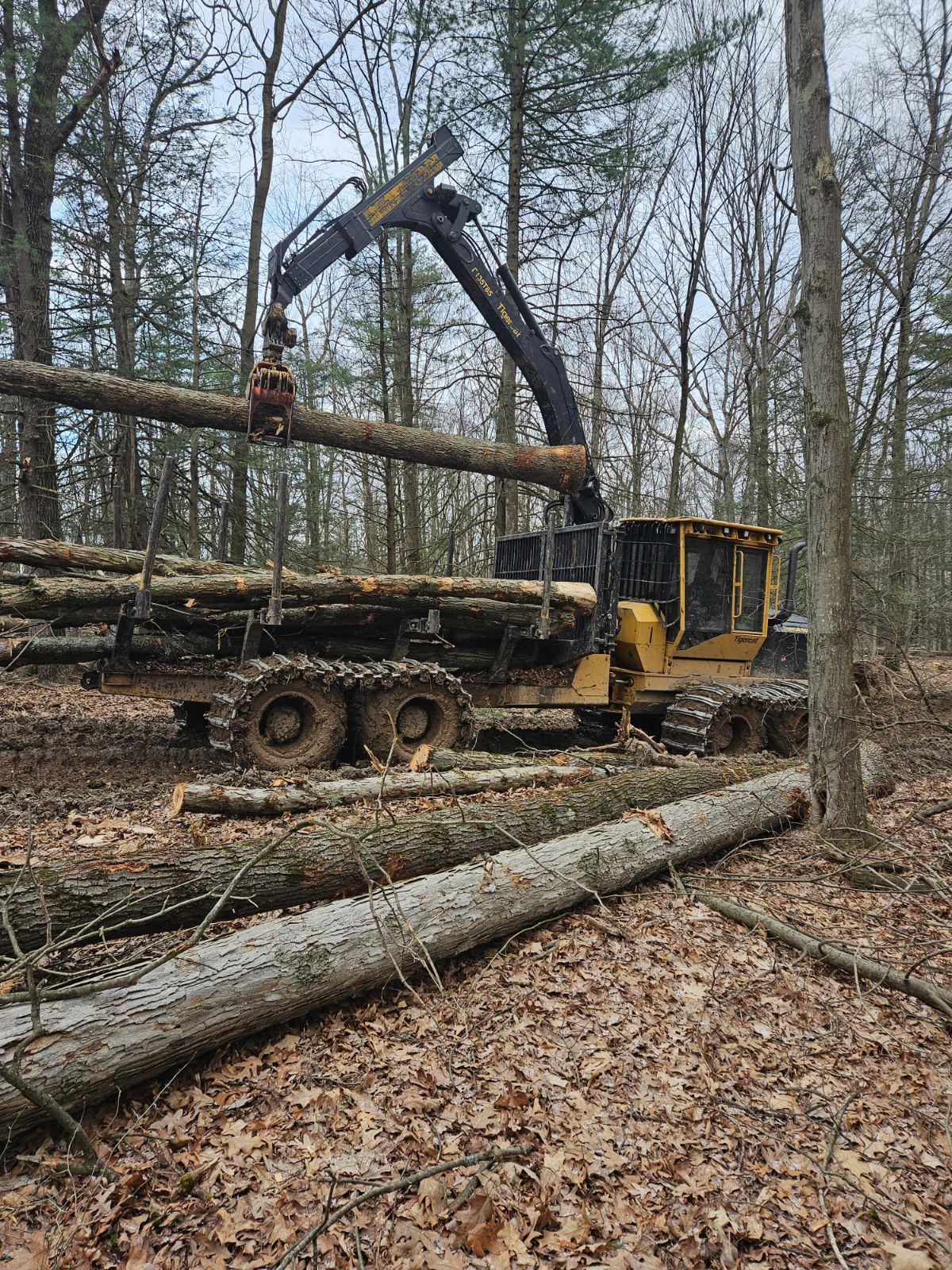 About Our Logging & Forresting | Superior Lumber