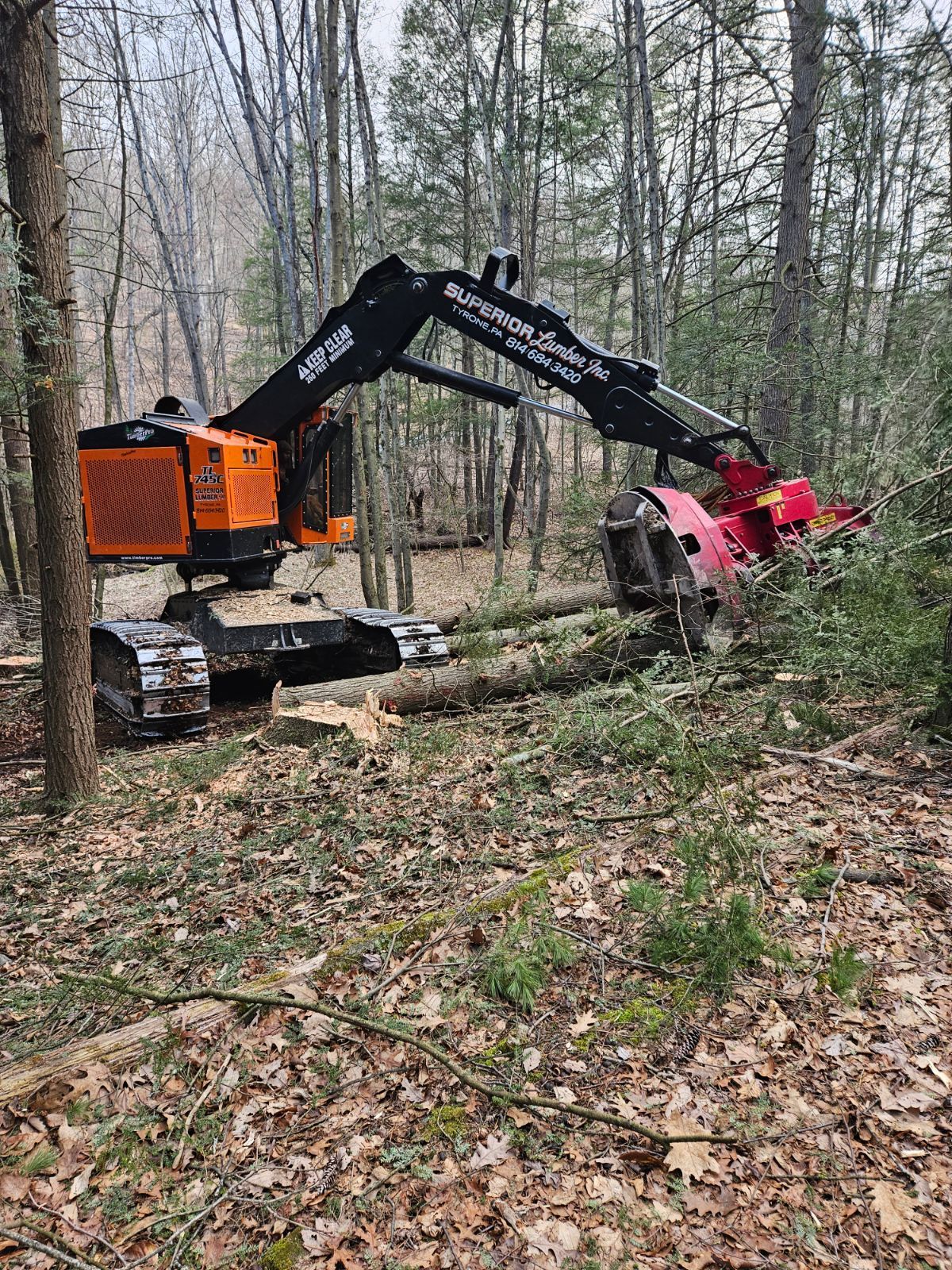 Logging & Forresting FAQs | Superior Lumber