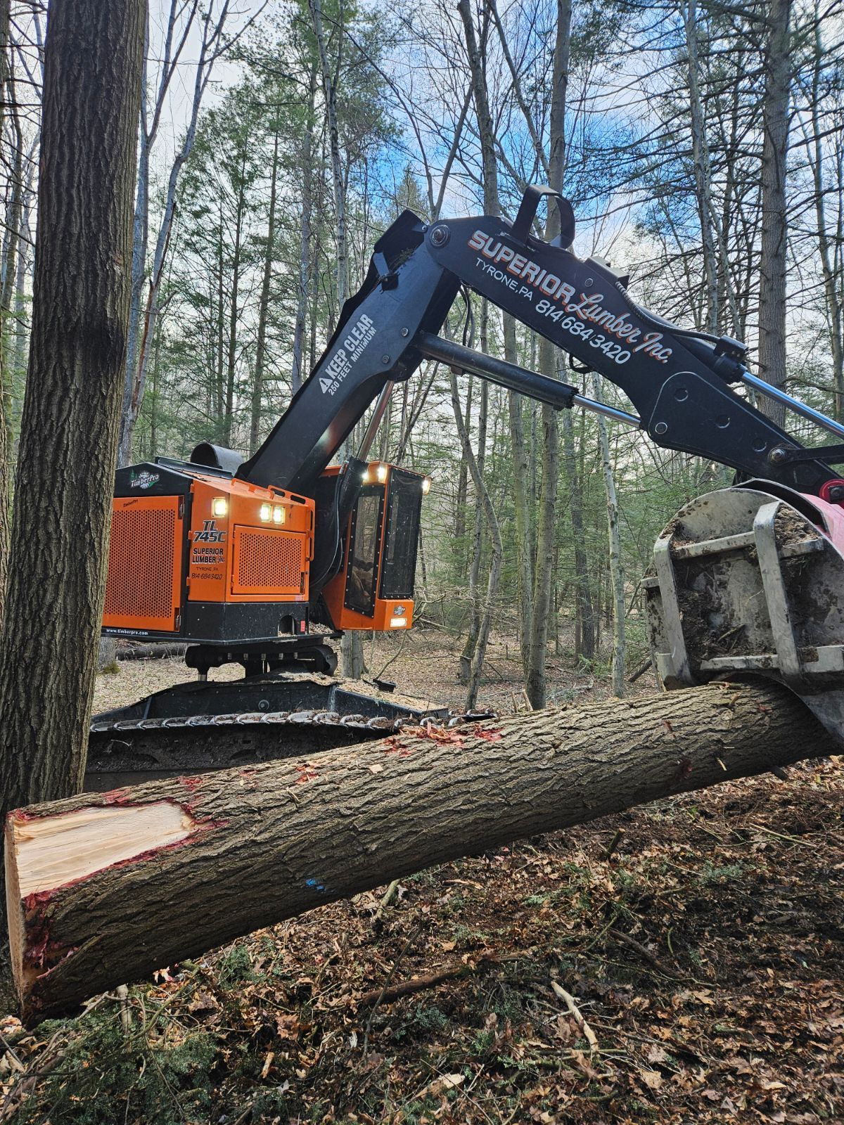 Superior Lumber | Logging & Lumber Solutions