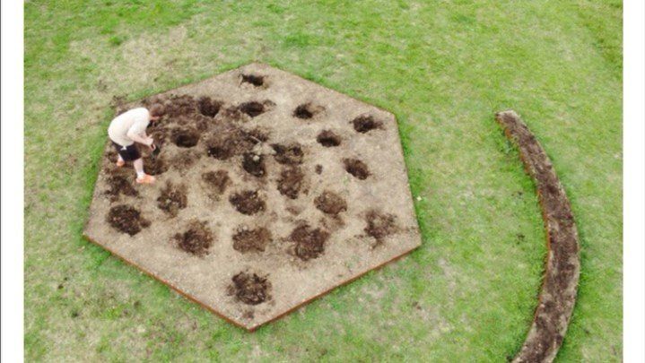 A rose between two thorns? The lasting effect of the Atom Bomb Rose