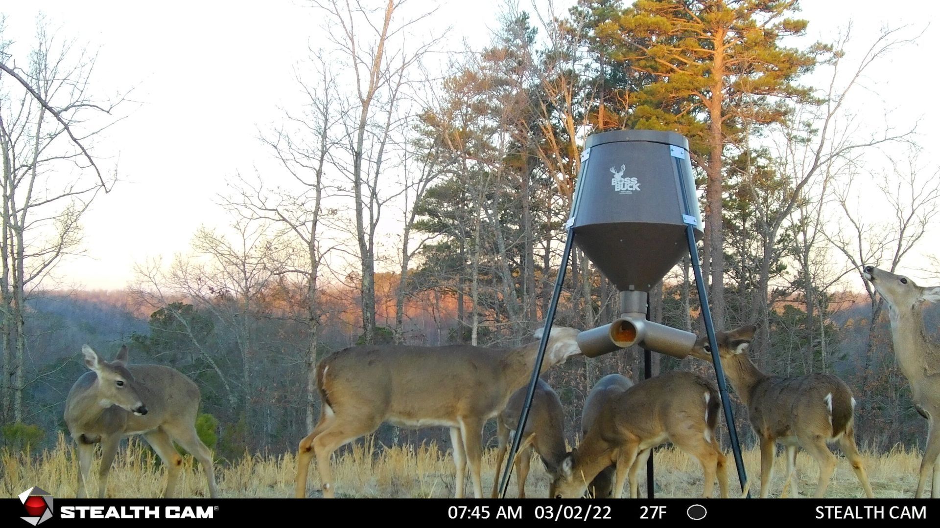 Boss Buck Feeders | Ultimate Game Feeder Systems