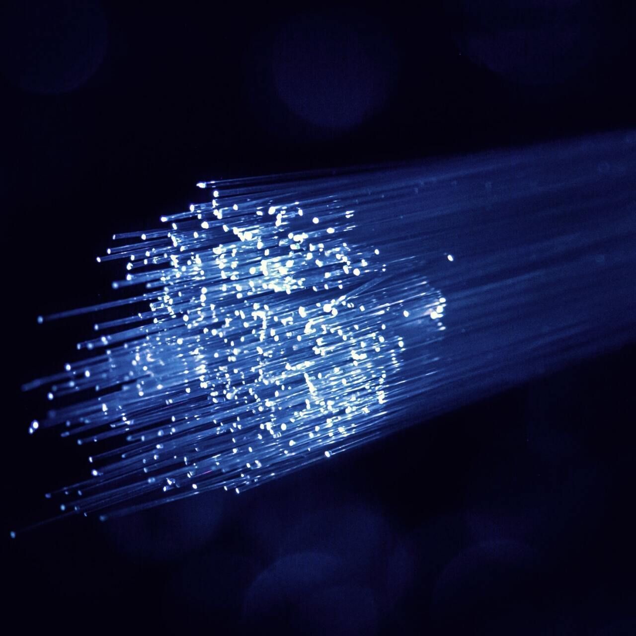 High Speed Internet Solutions for Business and Home | TOAST.net