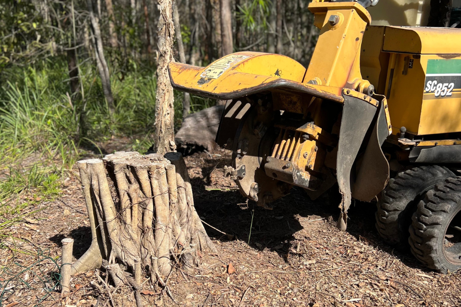 Stump Grinding Deception Bay | ASAP Stump Grinding