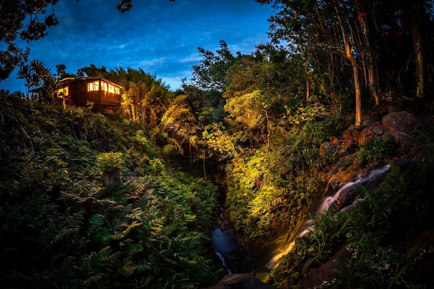 Home [www.frogsowls.com]