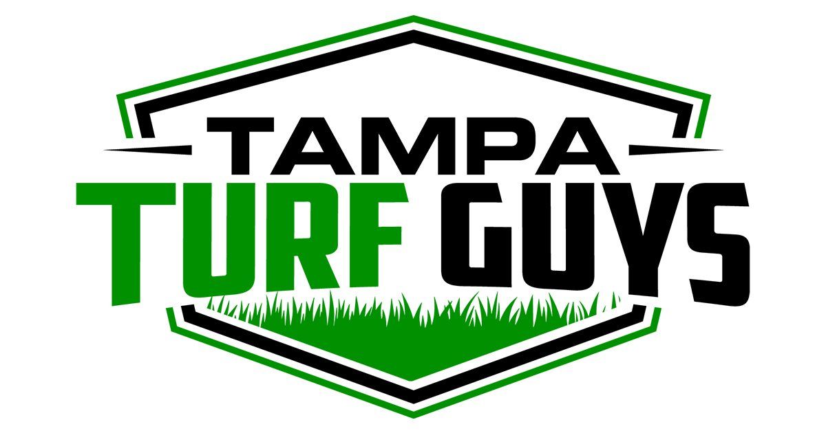 Tampa Turf Guys - Synthetic Turf Installation
