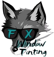 Full Vehicle Detailing, PPF and Window Tint | FX Window Tinting