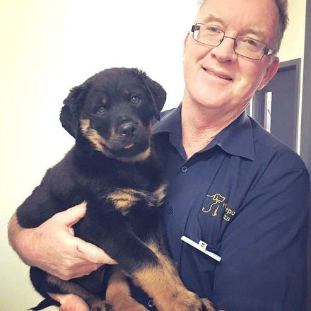 Contact Us | Riverport Veterinary Hospital and Victor Central Vets