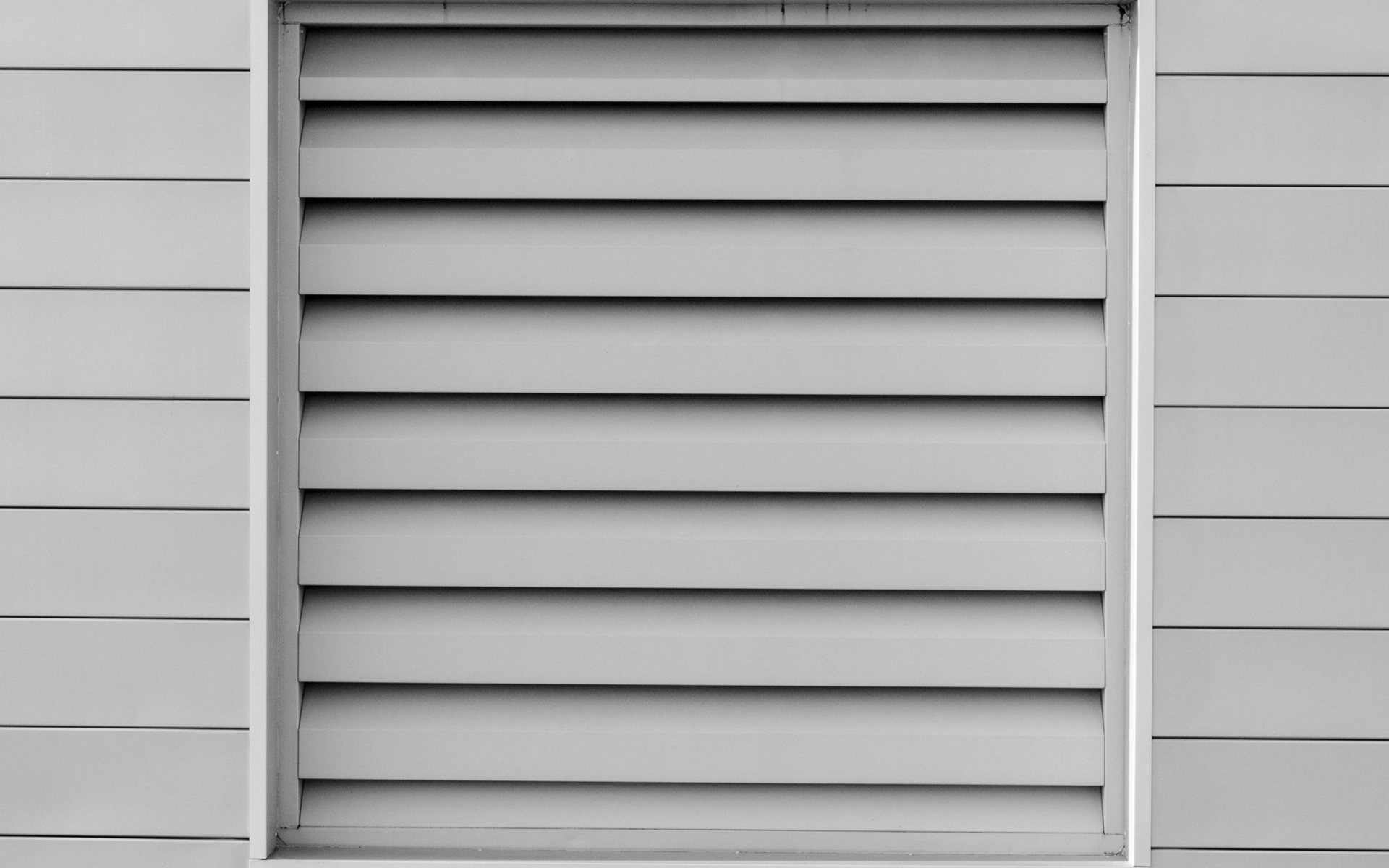 Attic Mold Keeps Coming Back? Here’s Why