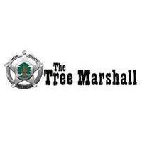 The Tree Marshall | Central Arkansas