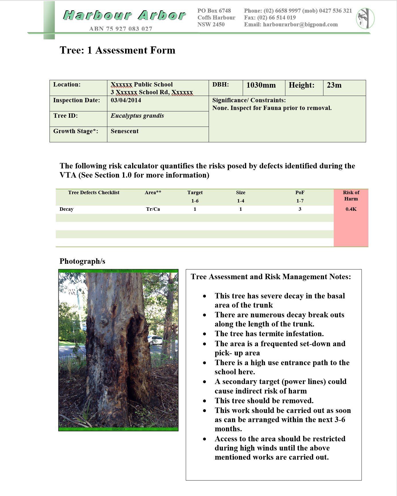 Tree Risk Assessments in Coffs Harbour | Harbour Arbor Professional ...