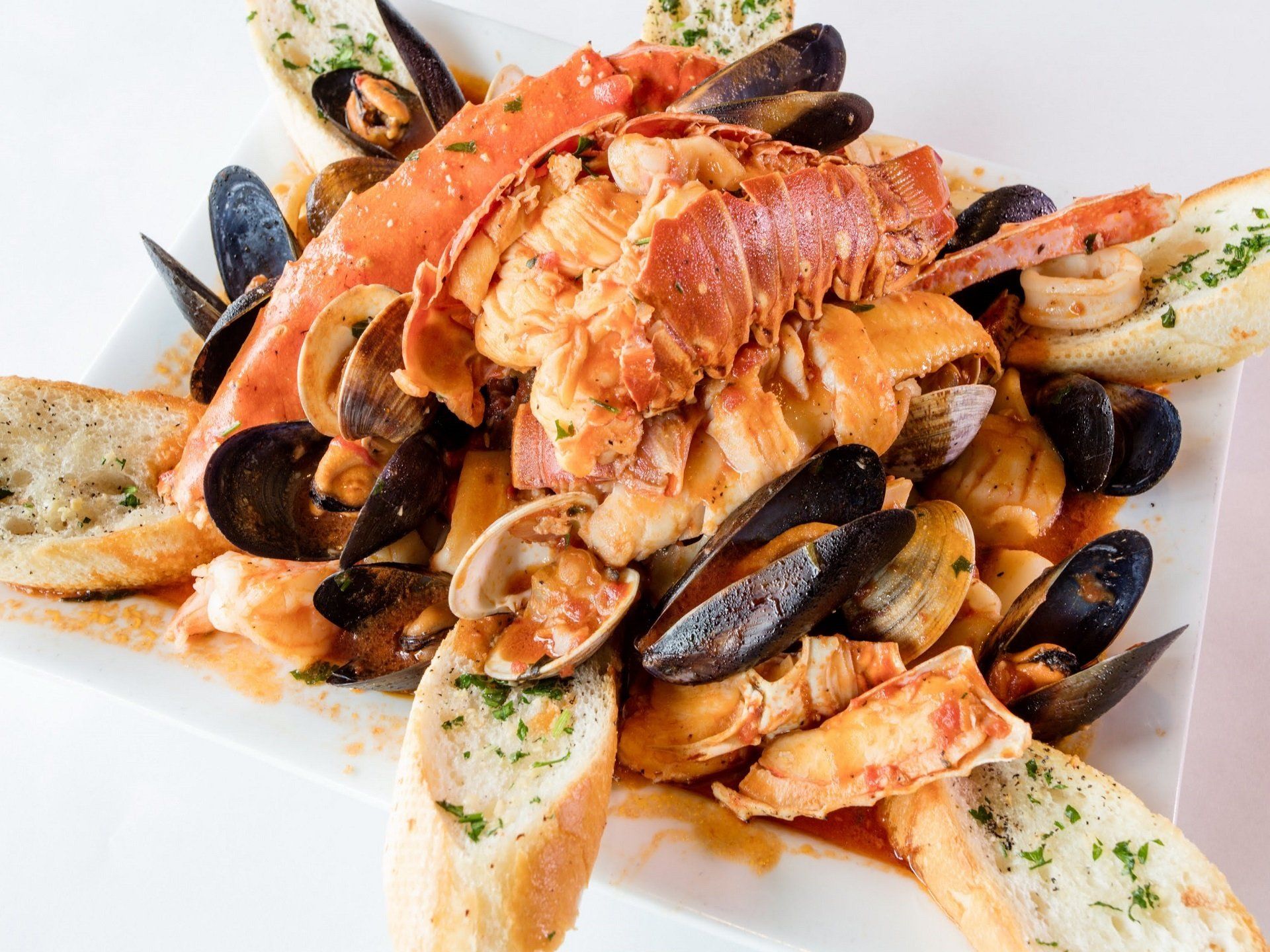 Fine Italian Restaurant | Chicago, IL | Calo Ristorante