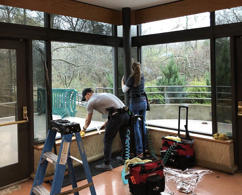 Michelle Abney: Nashville Customer Service Expert & Female Window Film ...