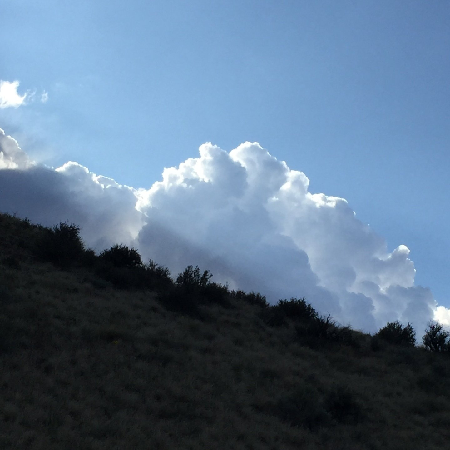 Sacred Practices and The Soul’s Slow Ripening by Christine Valters Paintner
