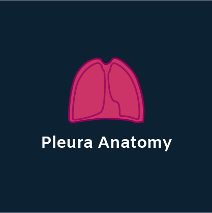 What are Pleura? Lung Pleura Structure and Function