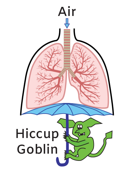 How does the Diaphragm Work? Diaphragm Structure and Function