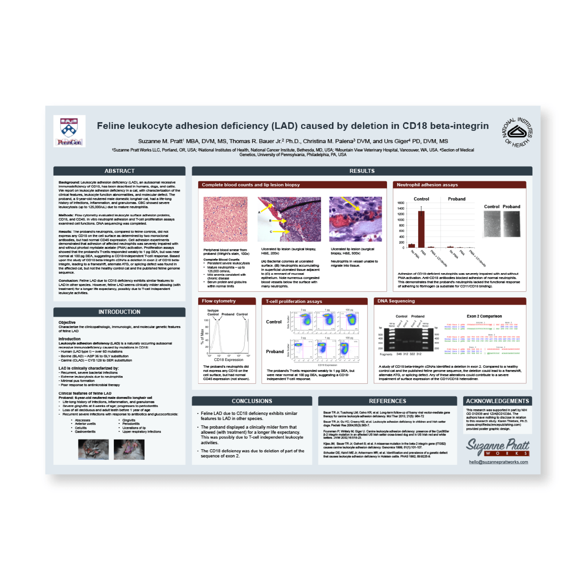 Research Poster and Scientific Presentation Slide Designs | Simplified ...