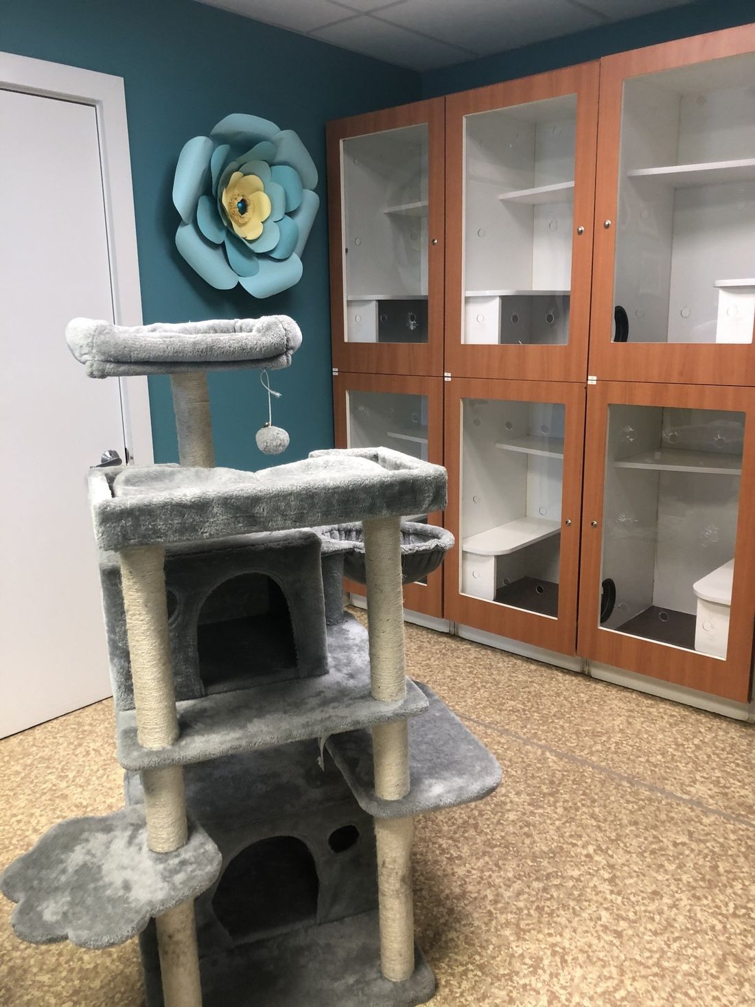 Experienced Pet grooming - Oxford, PA - Country Paws Inn Pet Boarding ...