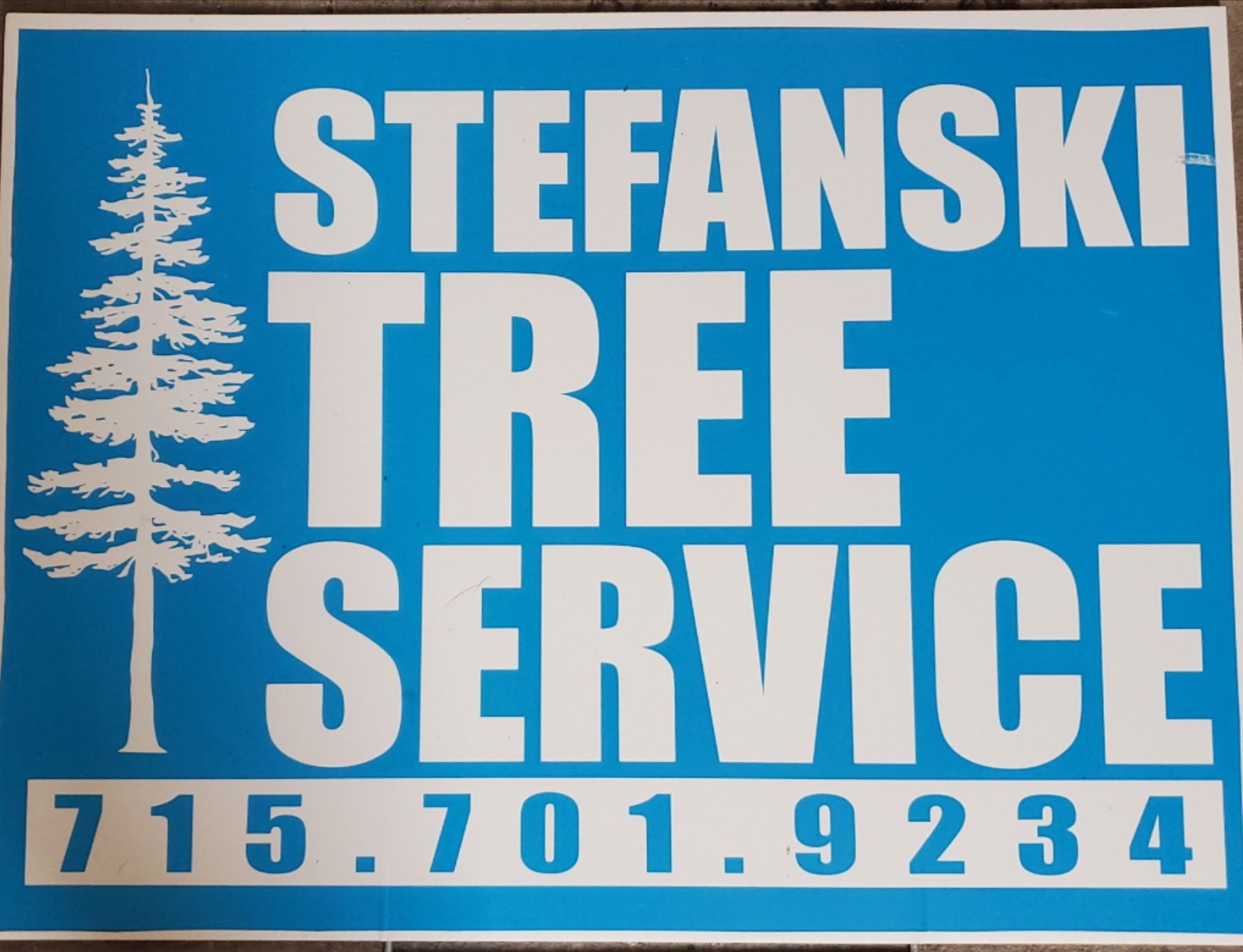 Tree Removal Experts | Bonduel, WI | Stefanski Tree Service