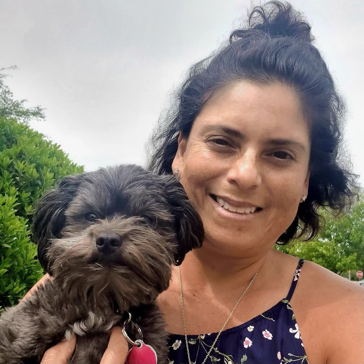 Unleashing Hope: Rescue dogs