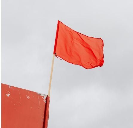 Project Red Flags