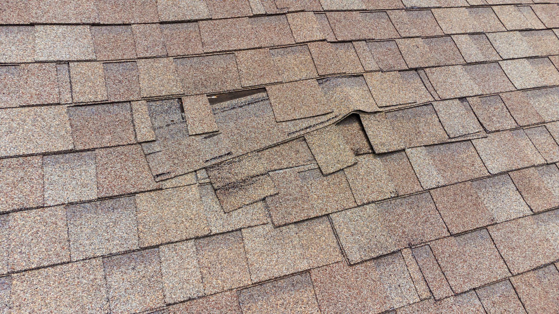 Roofing 101: Inspecting a Storm-Damaged Roof