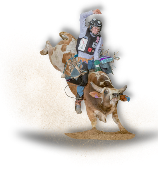 IMBA Bull Riding | International Miniature Bullriders Association