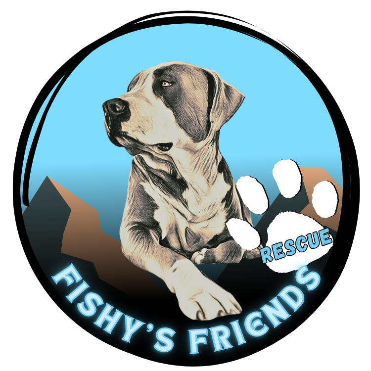 Rescuing Dogs One Tail At A Time | Fishy's Friends Rescue