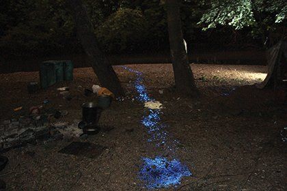 Photographing Bloodstains: Bluestar Reagent