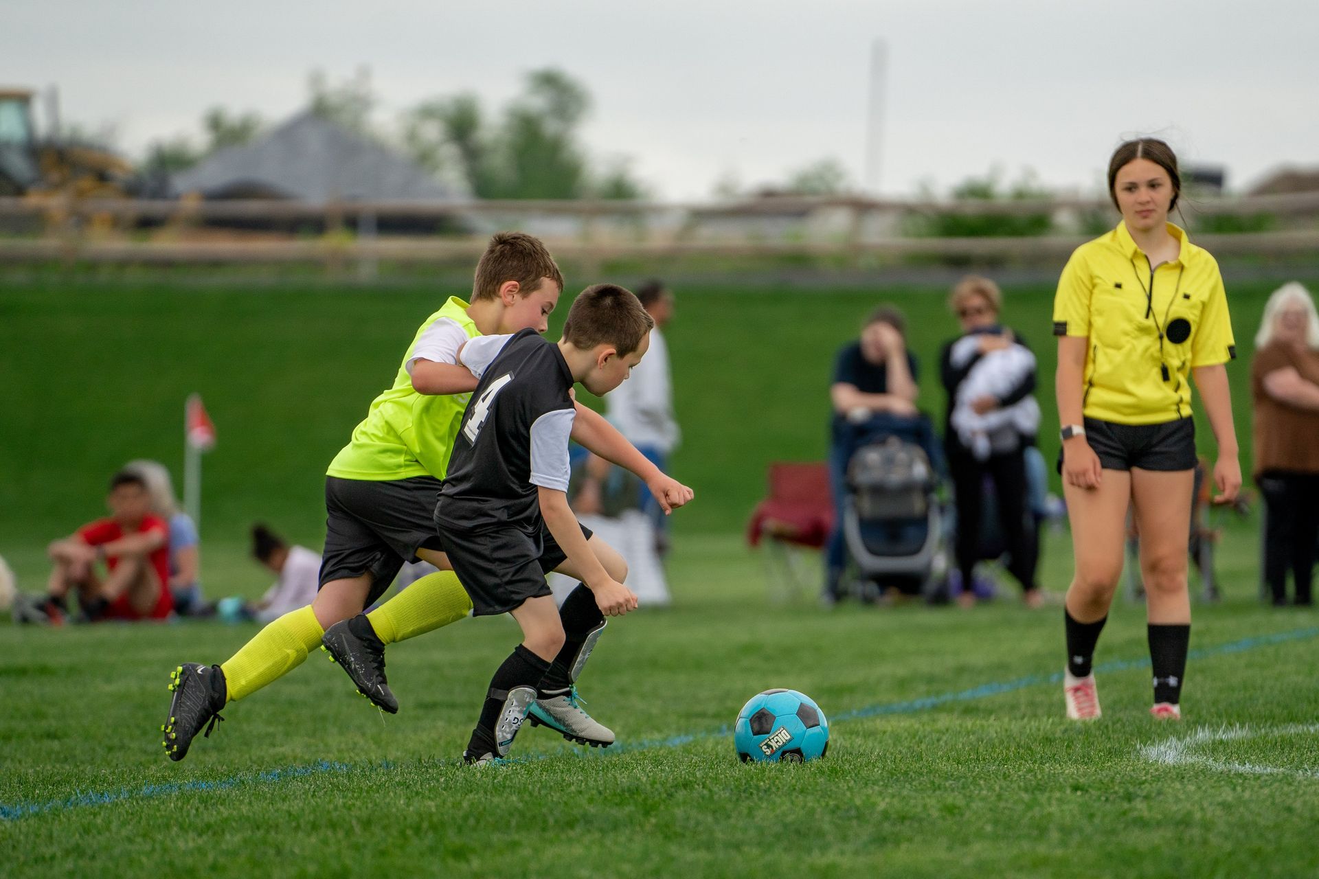 Spring Development Program