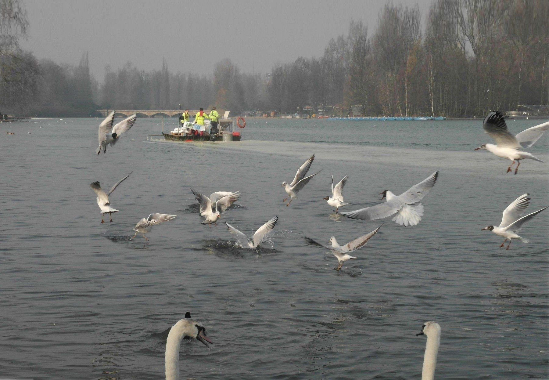 Phoslock Europe | Restoration of impaired water bodies by the ...