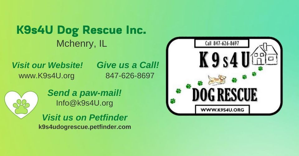 Non-Profit Rescue | McHenry, IL | K9s4U Dog Rescue