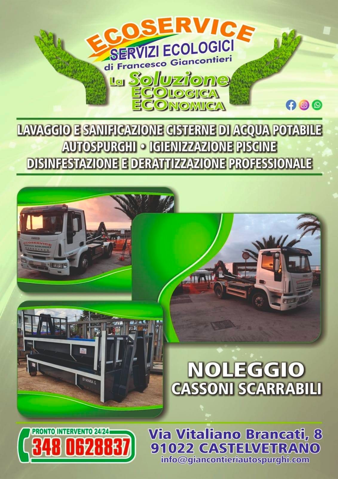 Nolo cassoni rifiuti | Castelvetrano | Ecoservice Servizi Ecologici